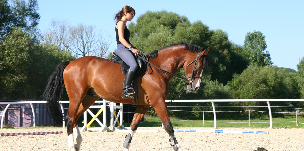 Ranch de chevaux, Balade à cheval avec barbecue | Cadeaux24