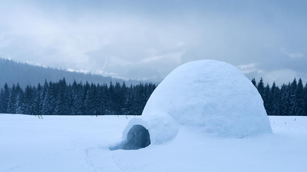 Iglu bauen Adelboden - inkl. Apéro 1