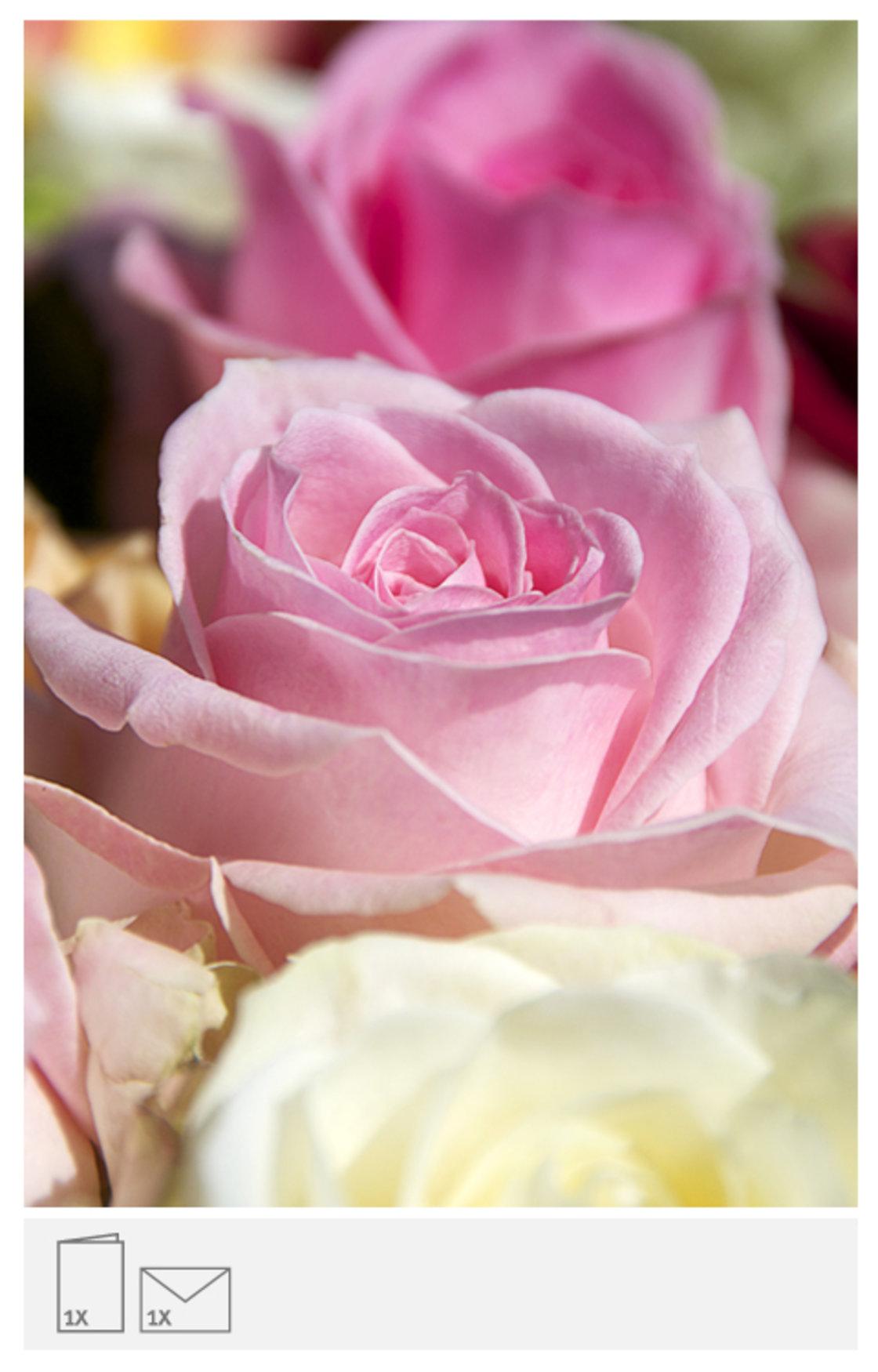 Carte photo - Roses